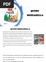 Ficha Queso Mozarella | PDF | Queso | Queso Mozzarella