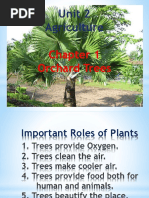 Agri Lesson 5 - Types of Orchard Farm | PDF | Trees | Fruit