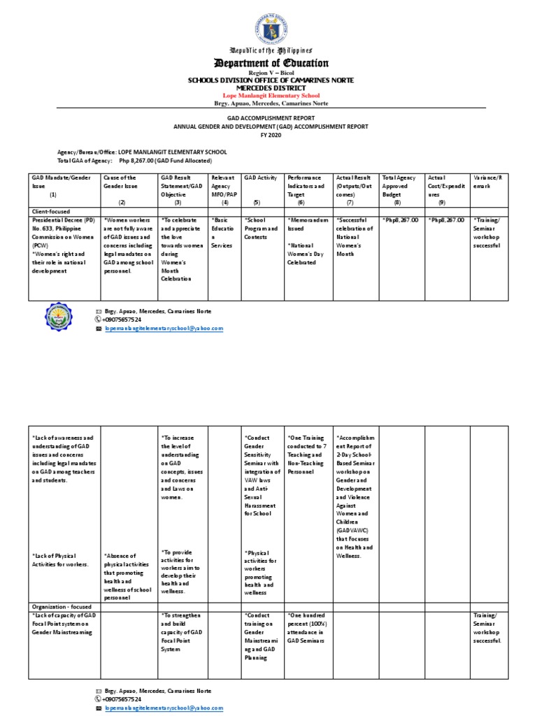 GAD Accomplishment 2020 | PDF