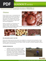 Onion Production Guide PDF | PDF | Onion | Fertilizer