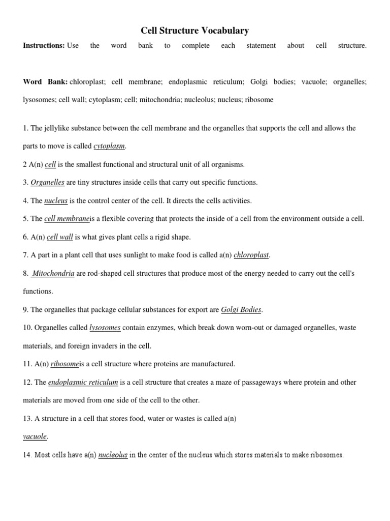 Cell Structure Vocabulary | PDF