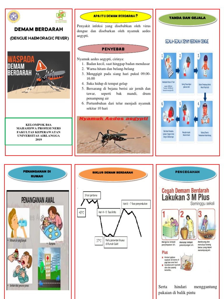 Leaflet DHF Fix | PDF