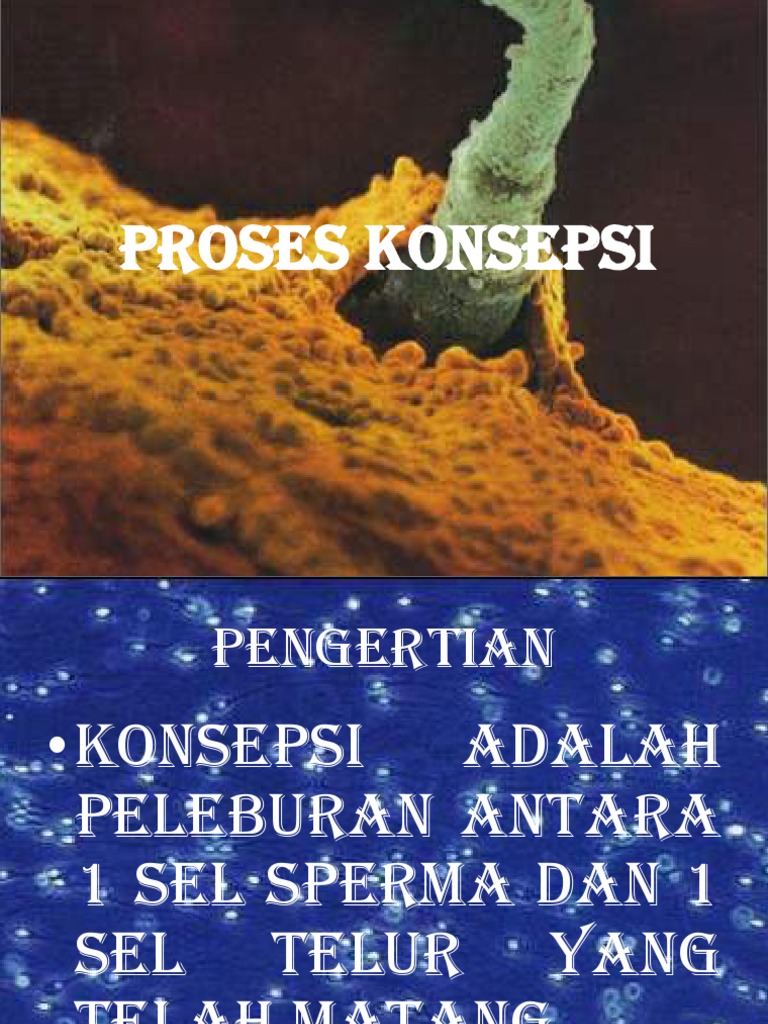 Proses Konsepsi | PDF