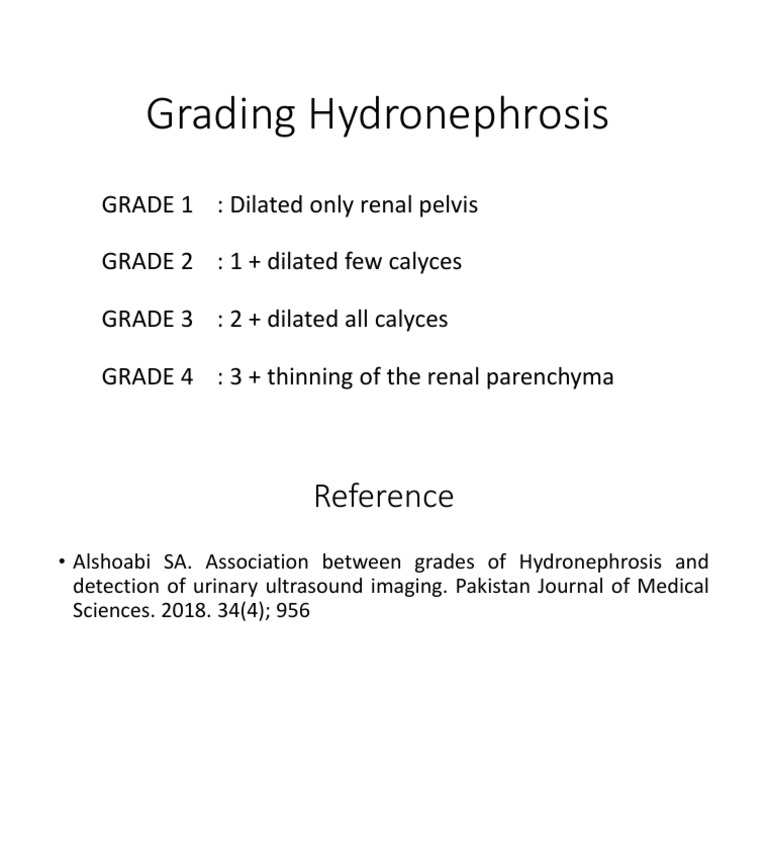 Grading Hydronephrosis | PDF