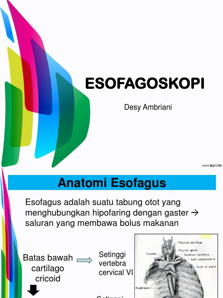 Esofagoskopi | PDF