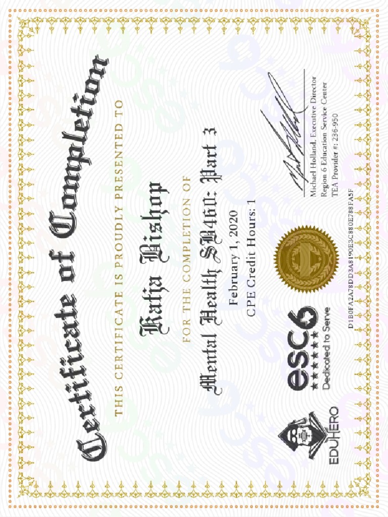 Katja Bishop Mental Health sb460 Part 3 February 1 2020 | PDF