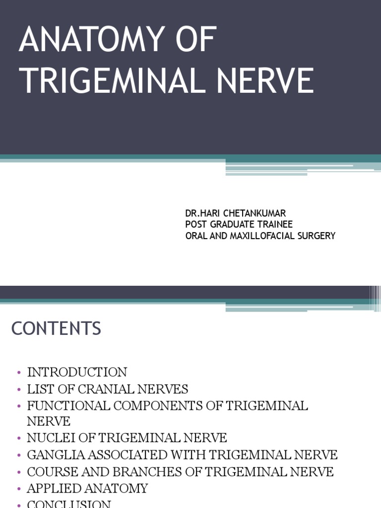 Trigeminal Nerve Anatomy Overview | PDF | Neuroanatomy | Human Head And ...