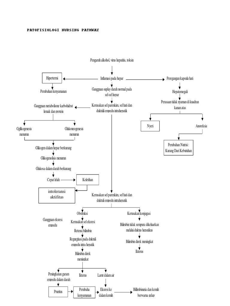 Patofisiologi Sirosis Harry | PDF