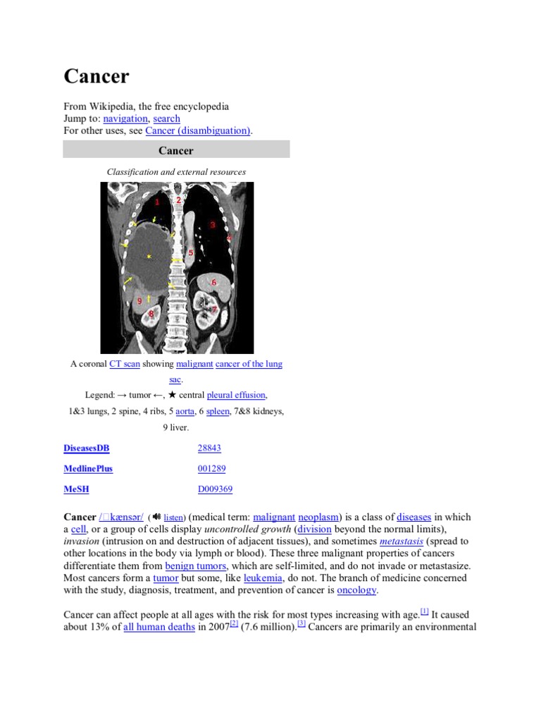 Cancer | PDF