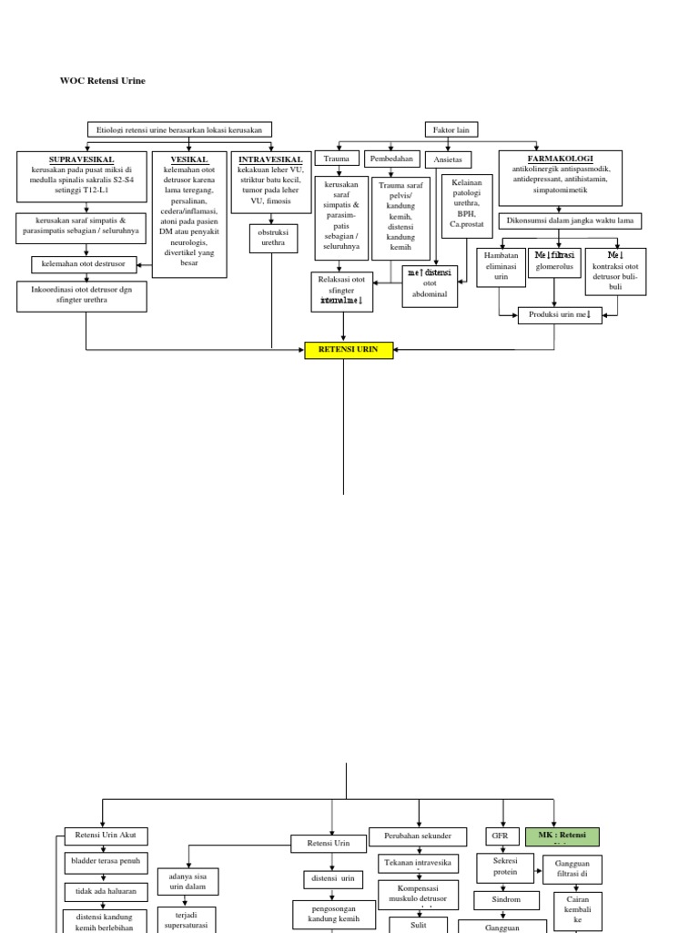 WOC Retensi Urine Fix | PDF