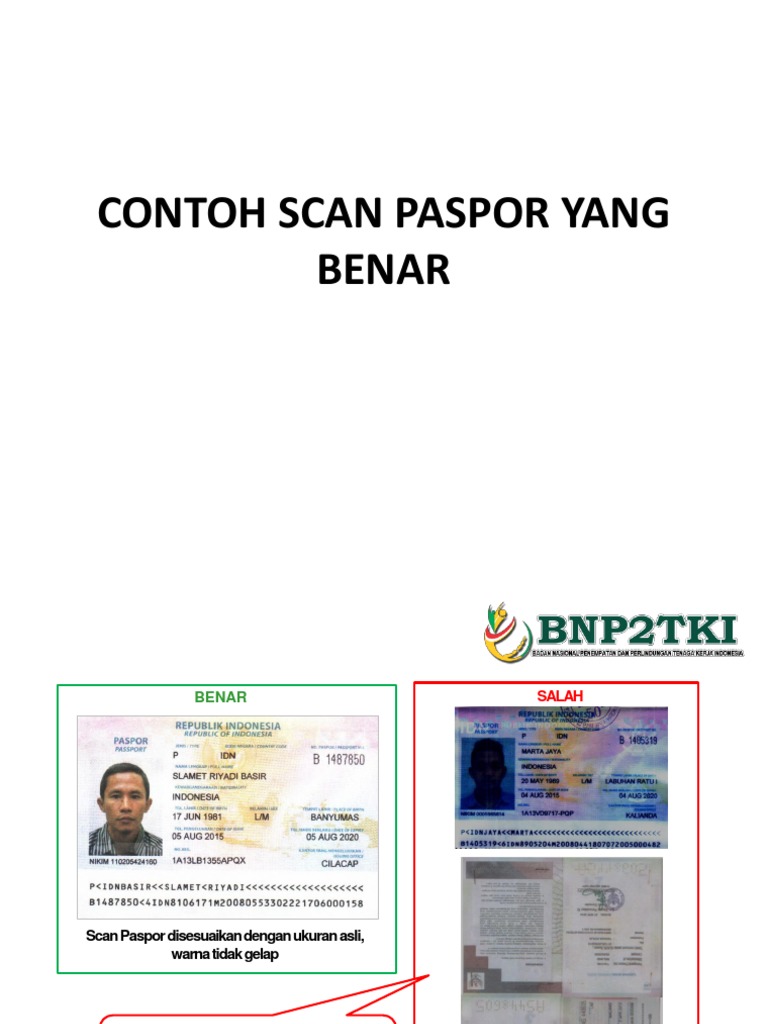 Data 18-11-2019 Contoh Scan Paspor Yang Benar | PDF