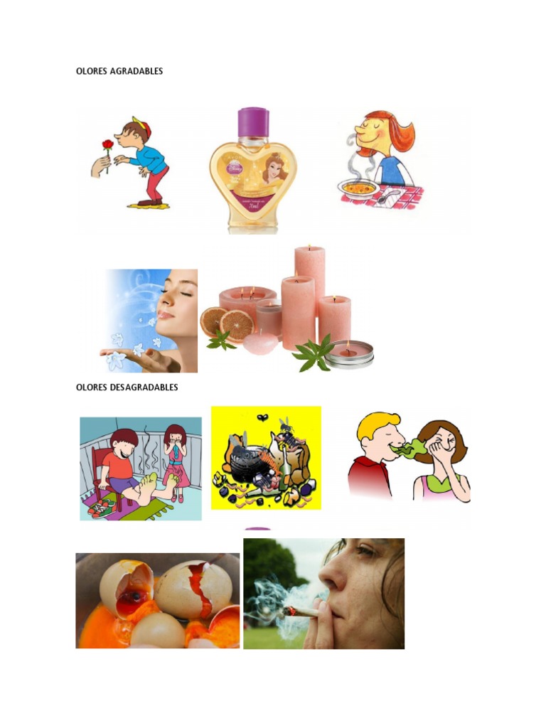 Olores Agradables | PDF | Amor | Verdad