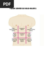 Pembagian Kuadran dan Regio Abdomen | PDF | Ilmu Sosial | Kesehatan ...