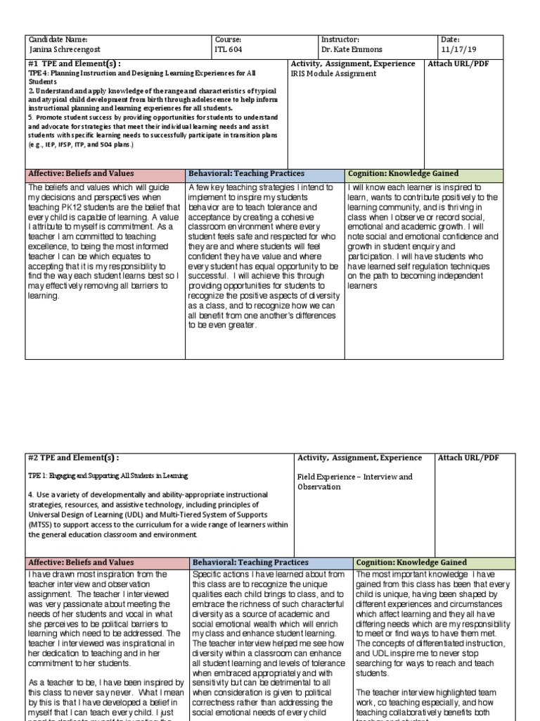 TPE Insights for Inclusive Teaching | PDF | Learning | Teachers