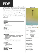Scan Sampling | PDF | Sampling (Statistics) | Sampling (Signal Processing)