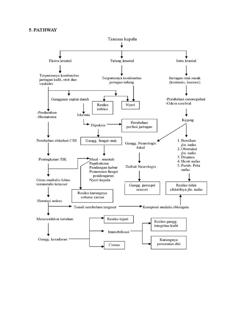 Pathway Trauma Kepala | PDF