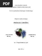 Izjava o Proizvodnji | PDF