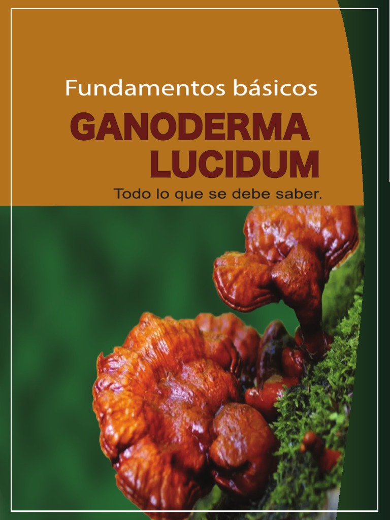 Fundamentos Basicos Del Ganoderma Lucidum | PDF
