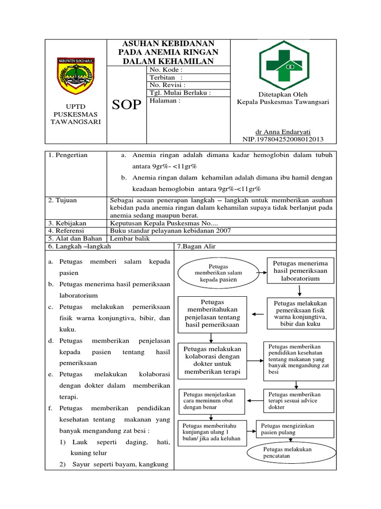 Sop Anemia Ringan | PDF
