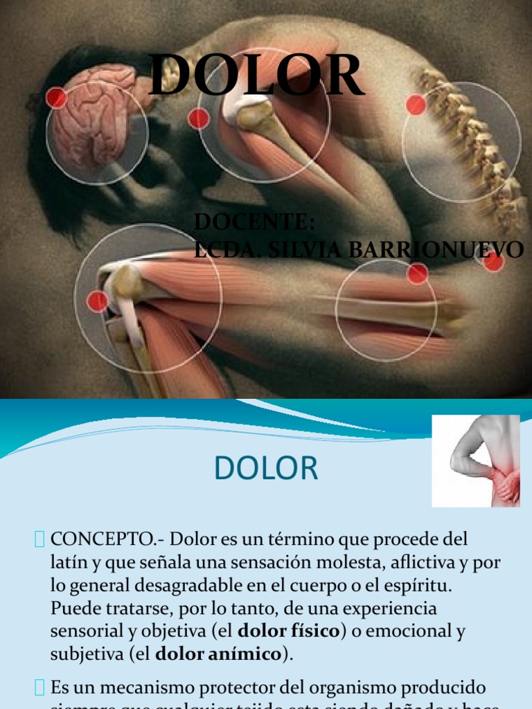 DOLOR Li | PDF | Gusto | Dolor