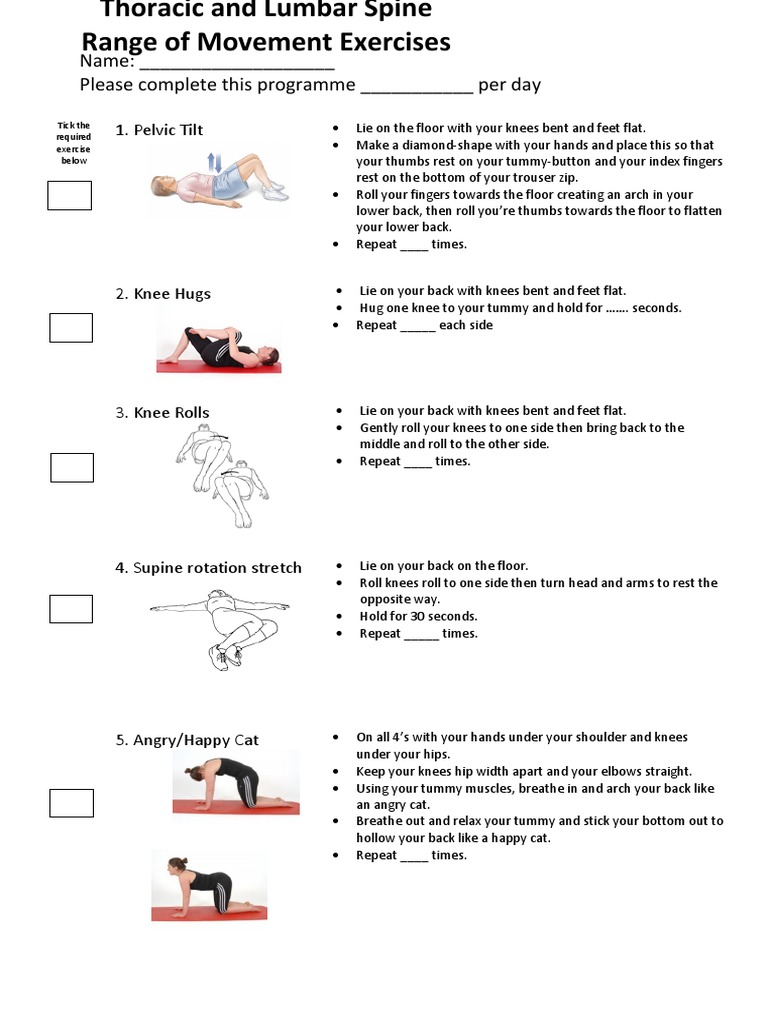 Thoracic and Lumbar Spine ROM DB Ver2 20.9.17 | PDF | Dance Science ...
