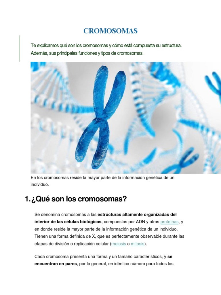 CROMOSOMAS | PDF | Cromosoma | Biología Celular)
