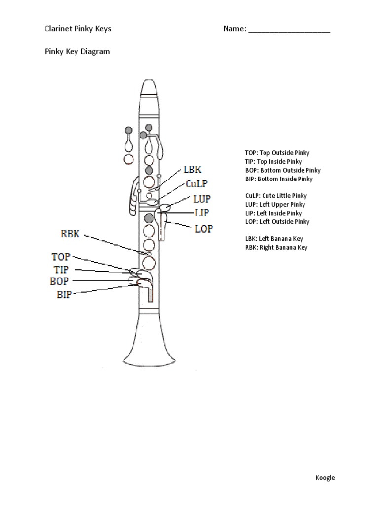 Clarinet Pinky Keys | Download Free PDF | Clarinet | Elementary Organology