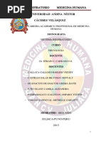 Gradiente Definicion y Gradiente Quimico | PDF | Degradado | Concentración