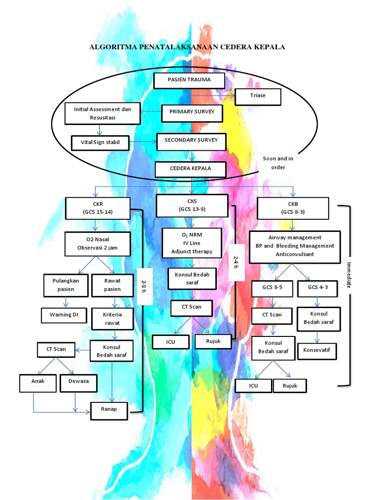 Head Injury Patient Management Algorithm | PDF | Medical Emergencies ...