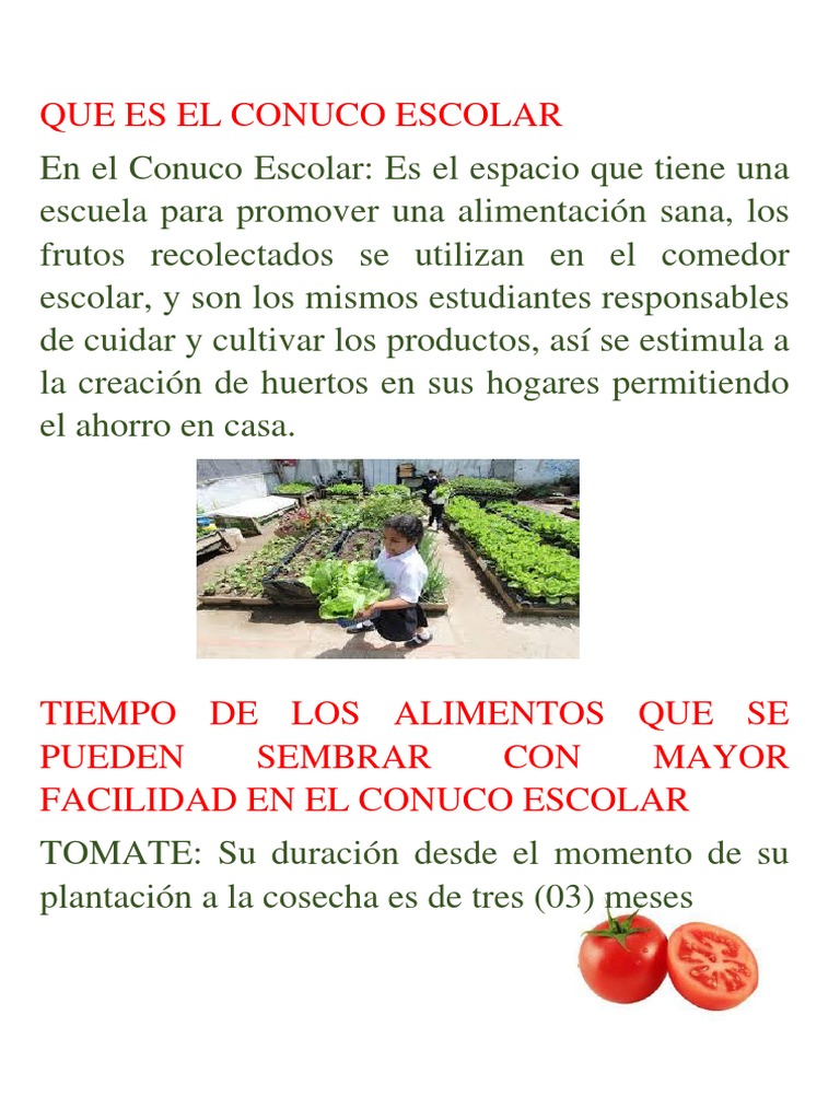 Un Conuco Escolar | PDF