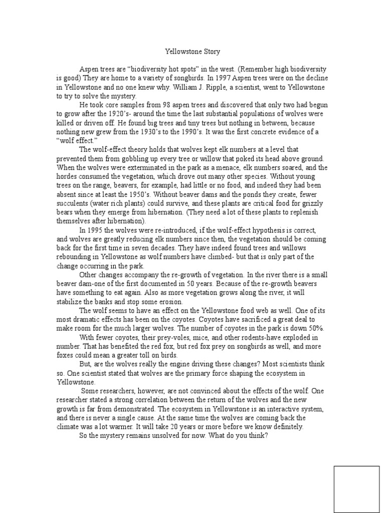 Yellowstone Story and Worksheet | PDF | Coyote | Yellowstone National Park