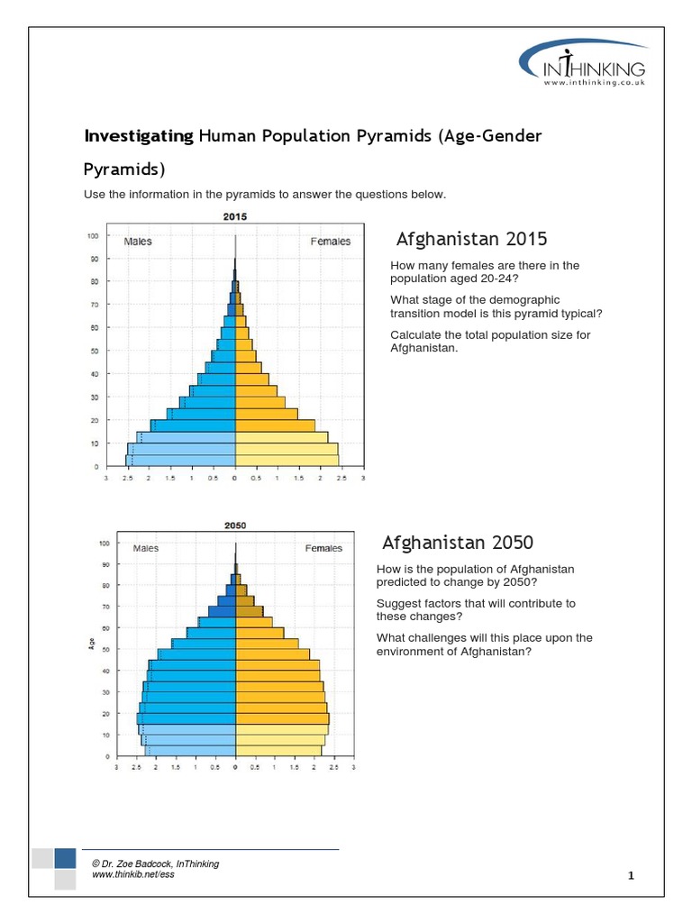 Population Pyramids Analysis | PDF