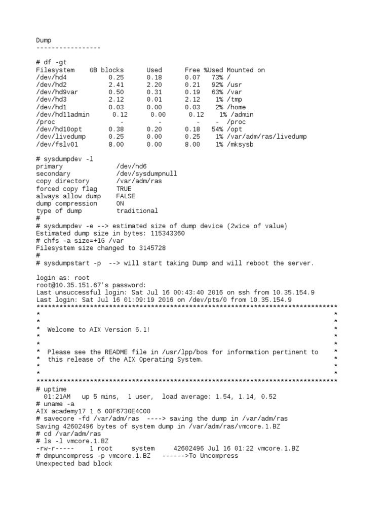 Dump | PDF | Computer Engineering | Computer Architecture