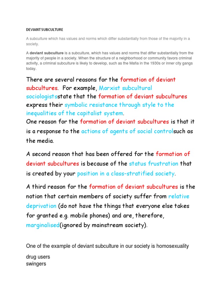 Deviant Subcultures Explained | PDF | Social Science