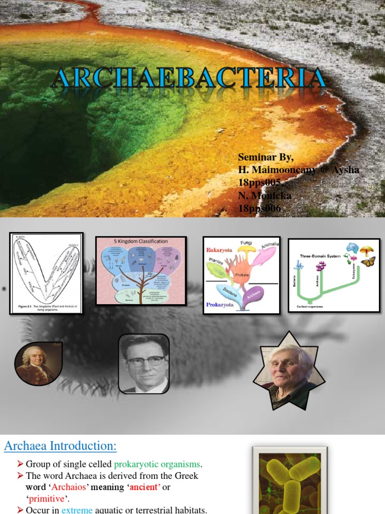 ARCHAEBACTERIA | PDF | Archaea | Cell Wall