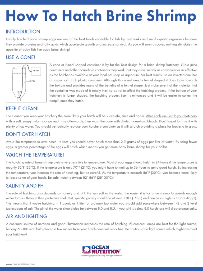 How To Hatch Brine Shrimp PDF | PDF | Lighting | Salt
