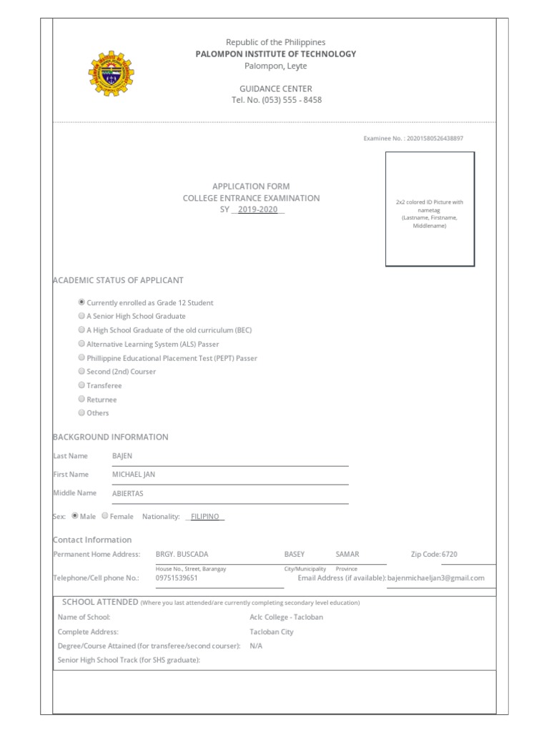 PIT - Application Form | PDF | University And College Admission ...