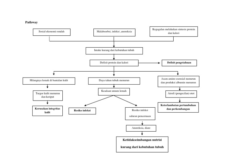 Pathway GIZI BURUK | PDF