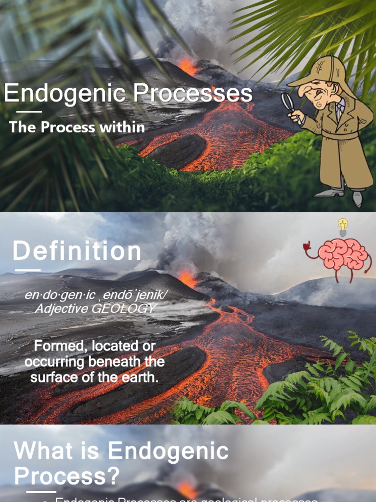 Understanding Endogenic Processes | PDF | Earthquakes | Fault (Geology)