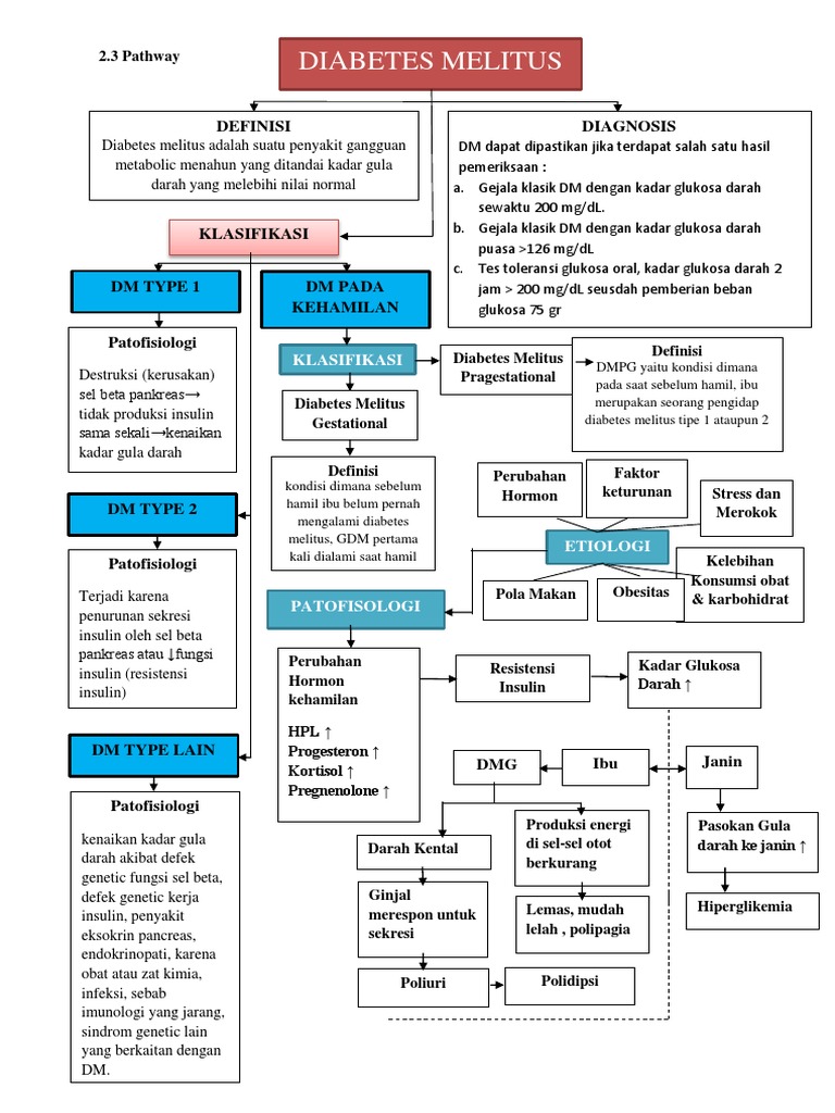 Pathway Diabetes Melitus | PDF