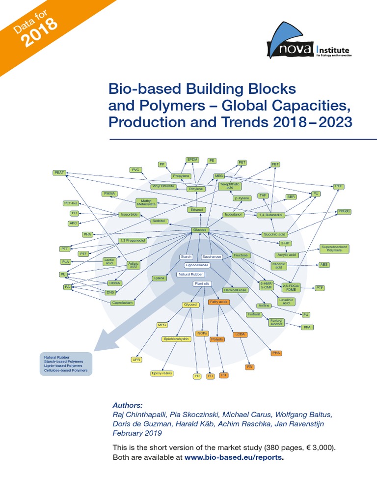 Short Version Bio Based Building Blocks and Polymers 2018 2023 | PDF ...
