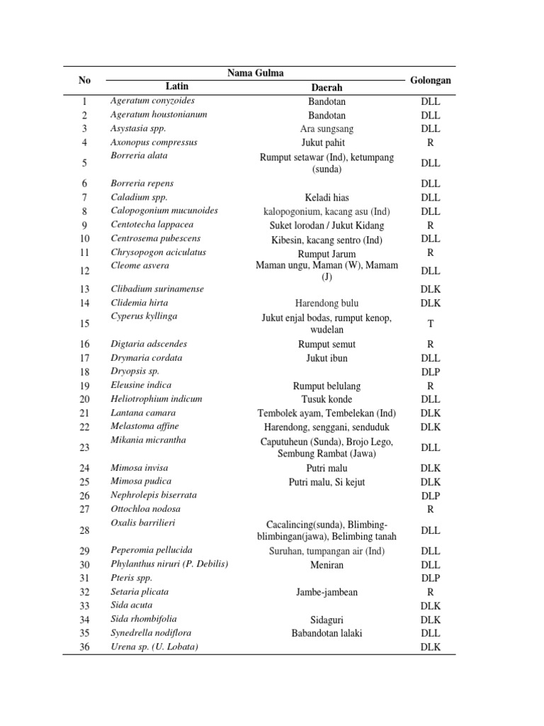 Nama Latin Dan Lokal Gulma | PDF