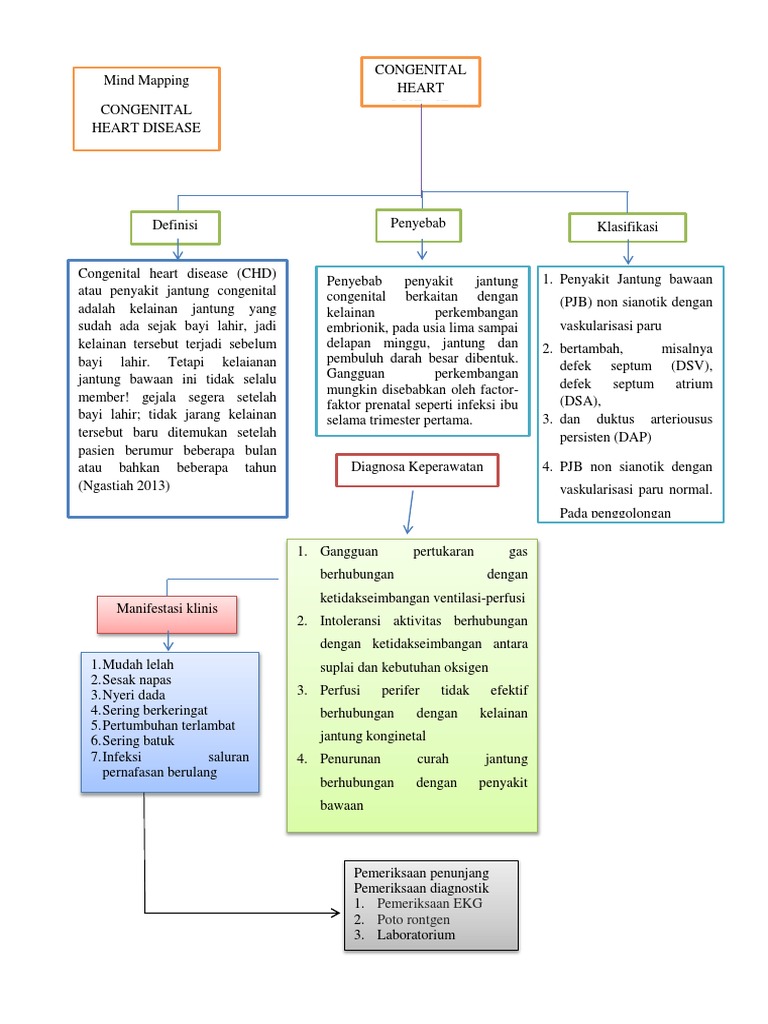 Mind Mapping Penyakit Jantung Bawaan | PDF