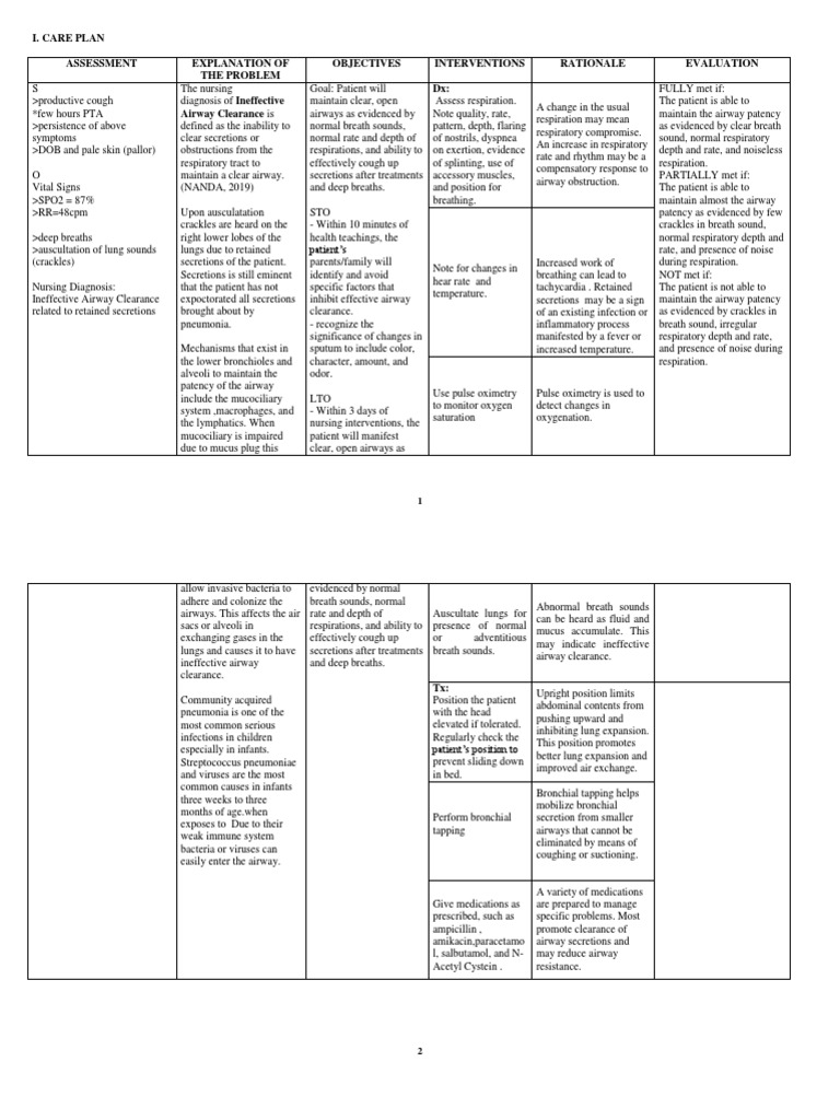 MCN NCP | PDF | Respiratory Tract | Breathing