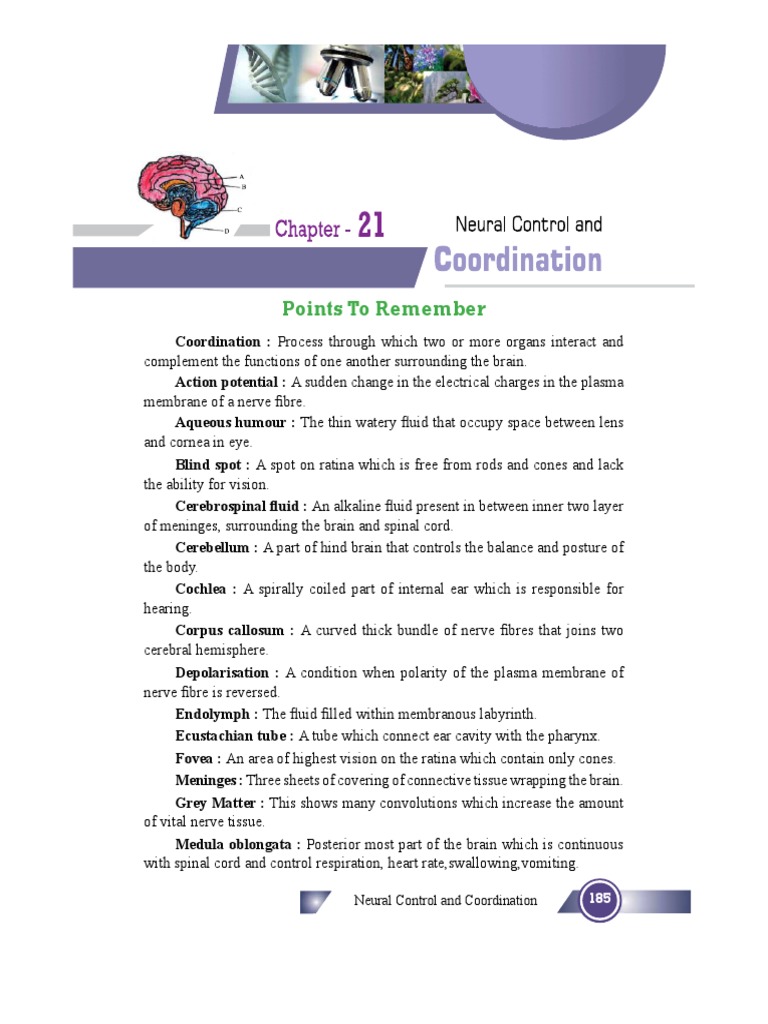 Biology F4 Review Summary Note | PDF | Meiosis | Mitosis