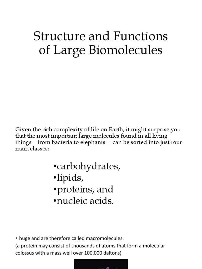 Structure and Functions of Large Biomolecules | PDF | Polysaccharide ...