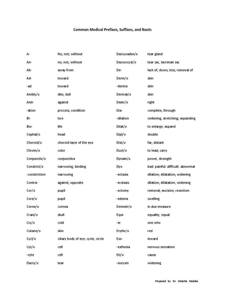 Common Medical Prefixes | PDF | Skin | Organ (Anatomy)