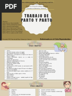 Mortinato y Óbito Fetal: Definiciones y Causas | PDF | Dolor | El embarazo