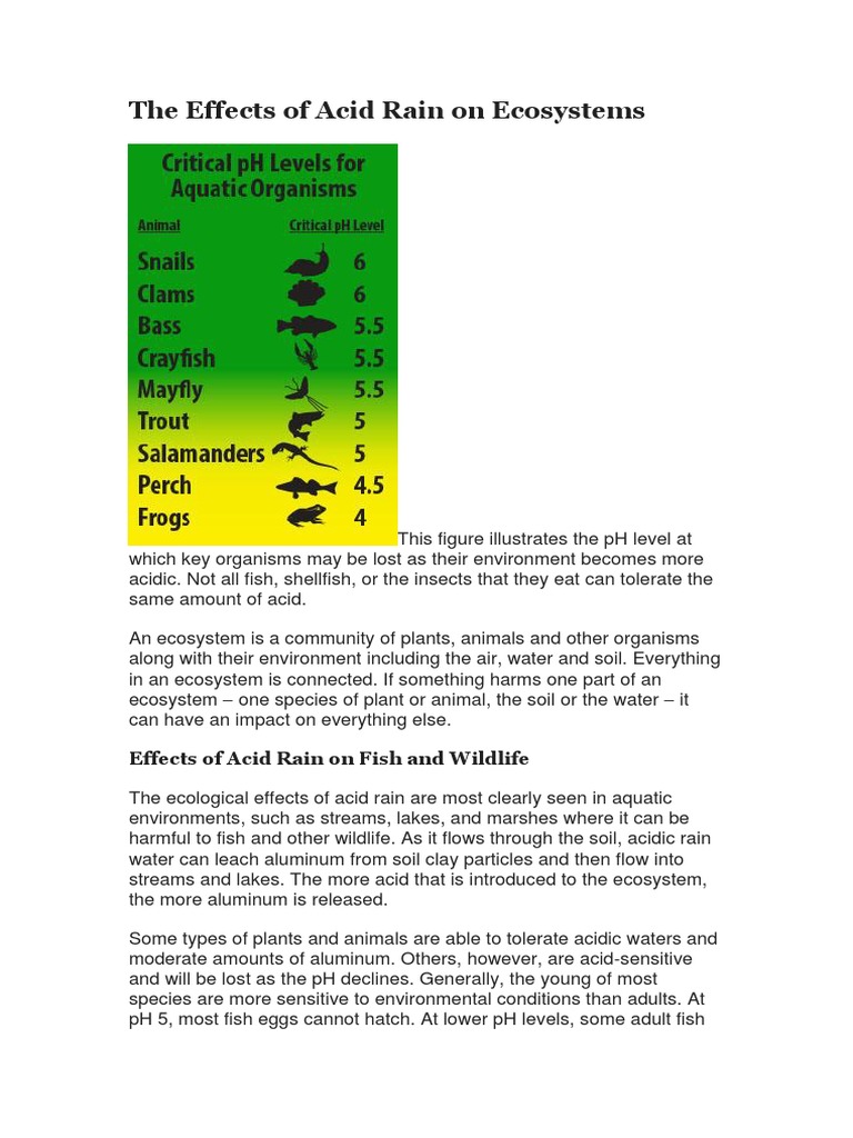 Effects Of Acid Rain On Plants