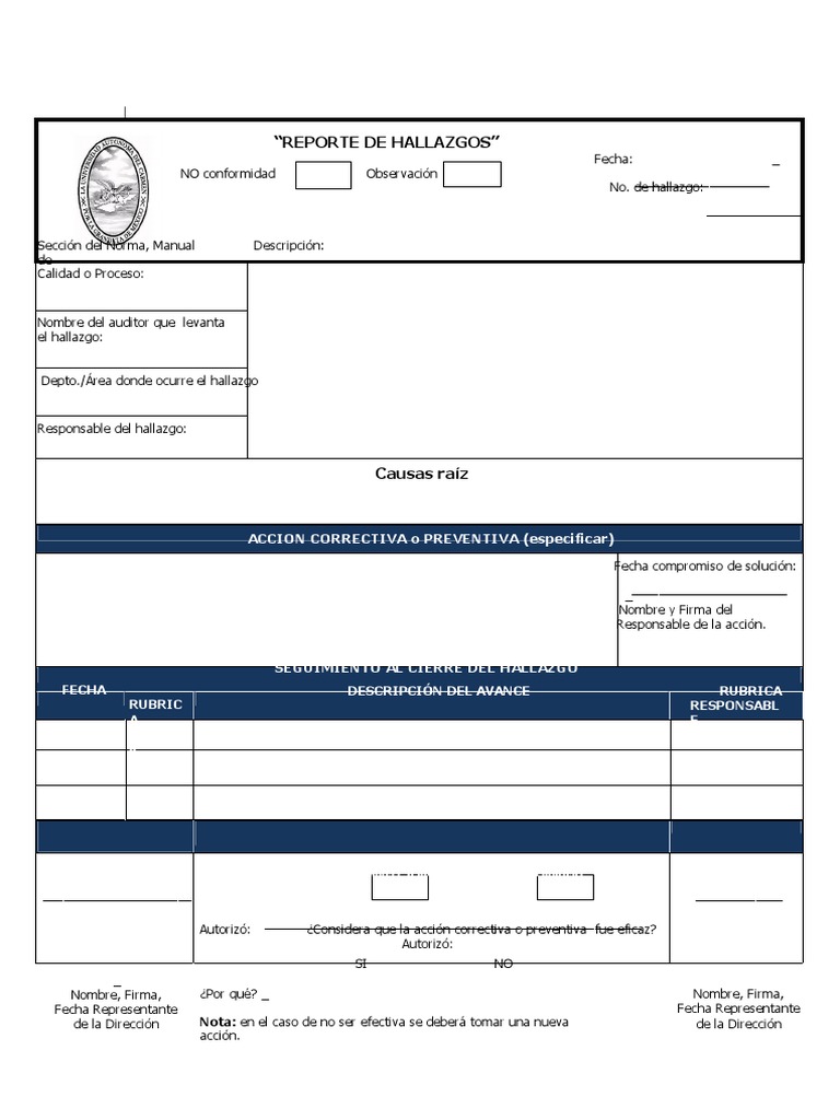 Reporte de Hallazgos | PDF | Business